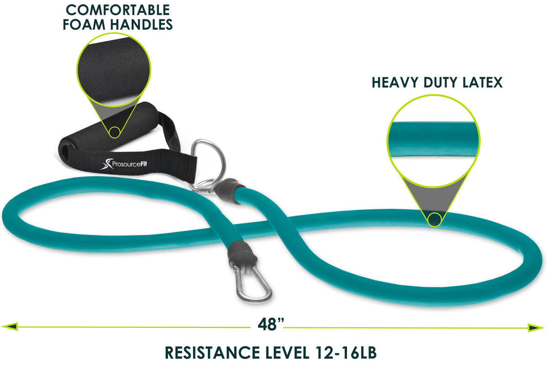 Single Stackable Resistance Band – ProsourceFit